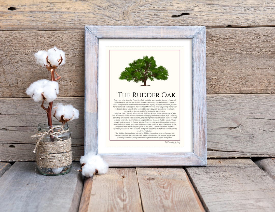 The Rudder Oak 16x20 Poster | Trees of Texas A&M Collection | Famous ...