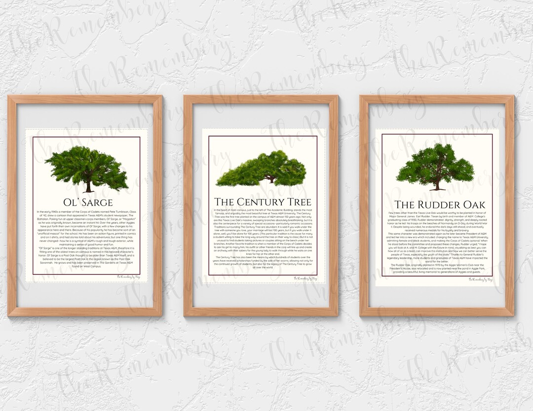 8x10 Trees of Texas A&M Digital Wall Art | Famous TAMU Trees | Aggie ...