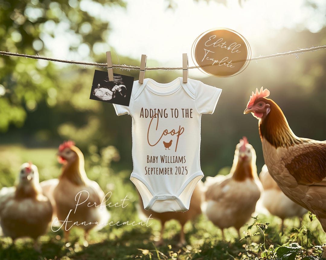 Chicken Pregnancy Announcement Digital Canva Template, New to the Coop ...