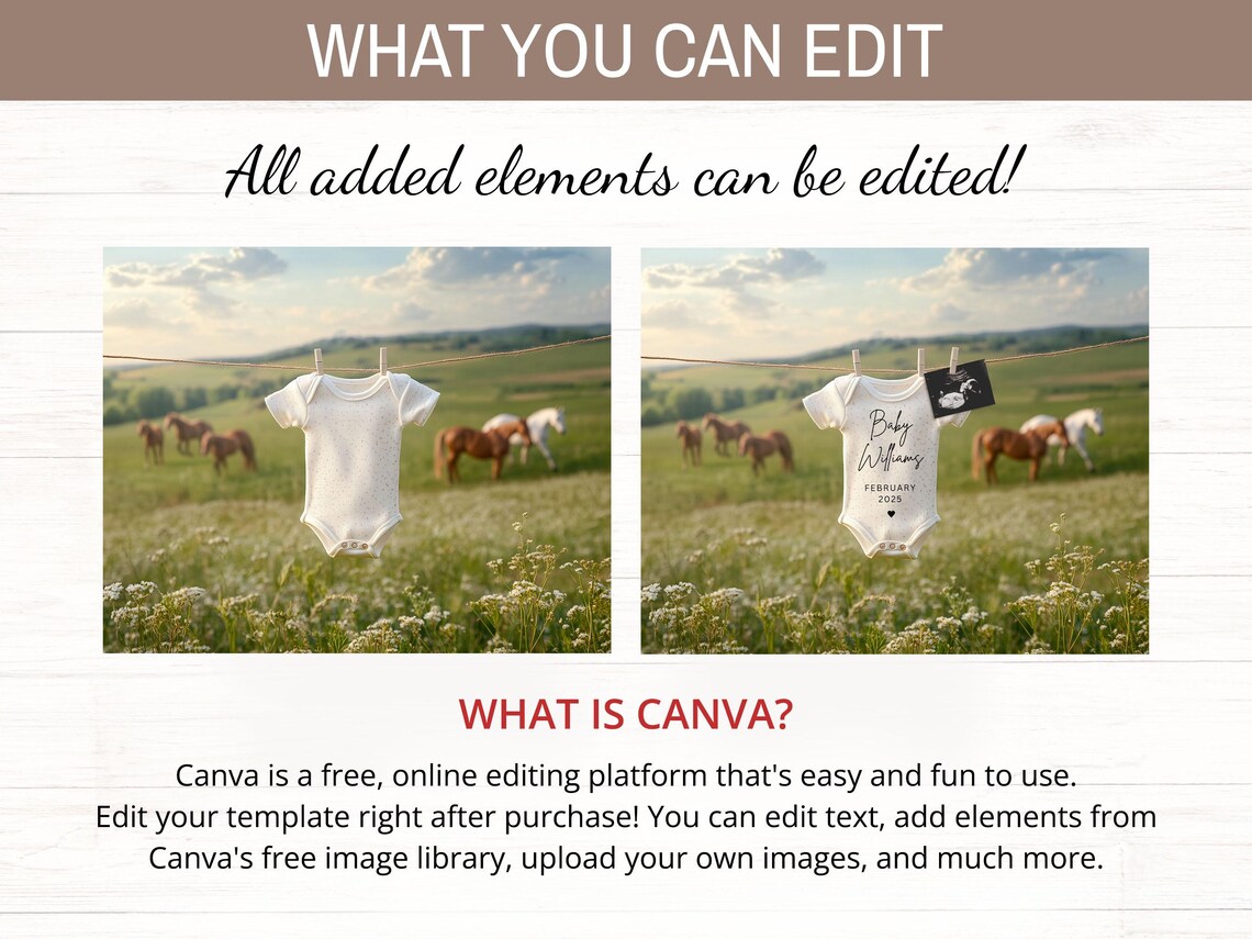 Simple Horse Pregnancy Announcement Digital Canva Template, Western ...