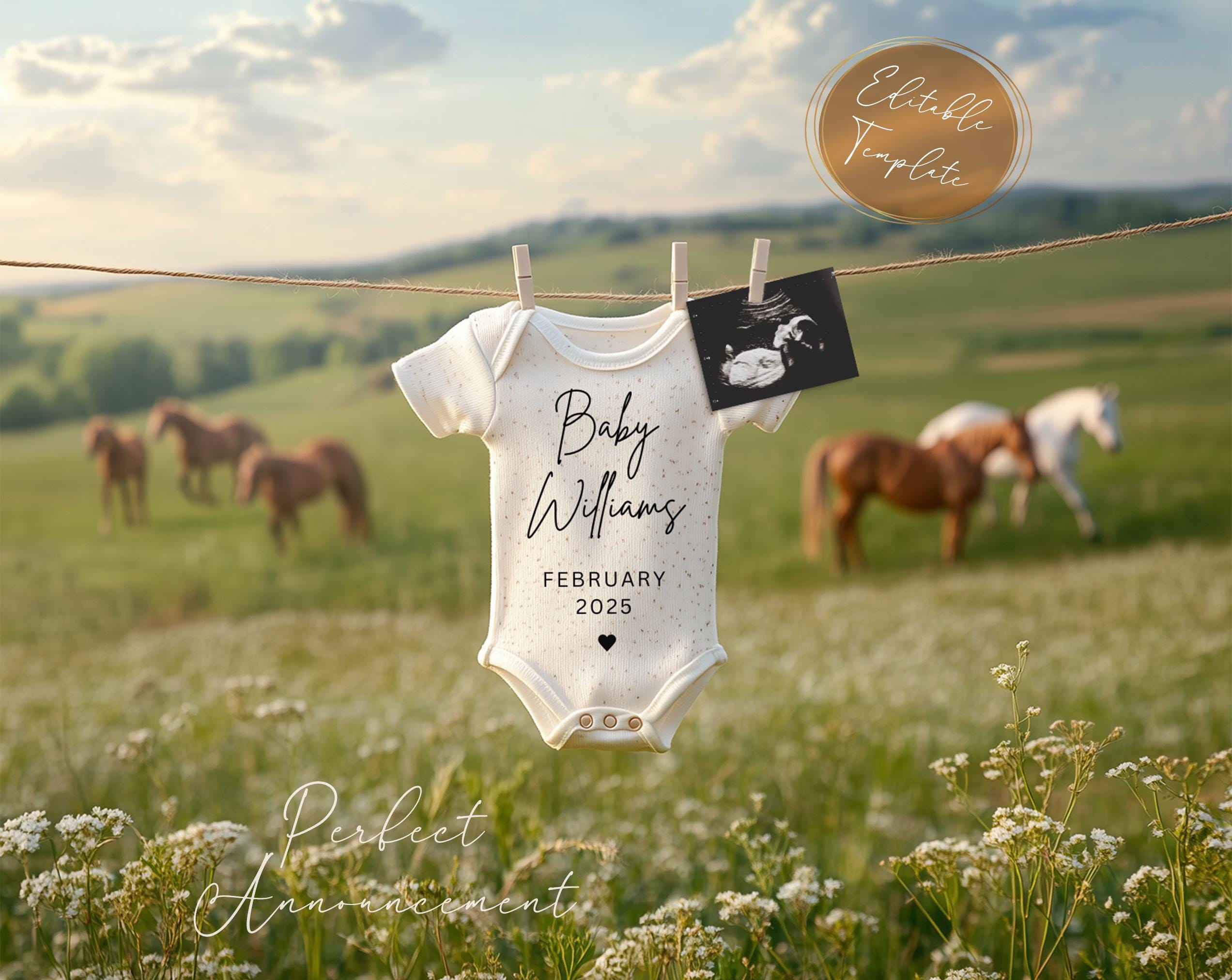 Simple Horse Pregnancy Announcement Digital Canva Template, Western ...