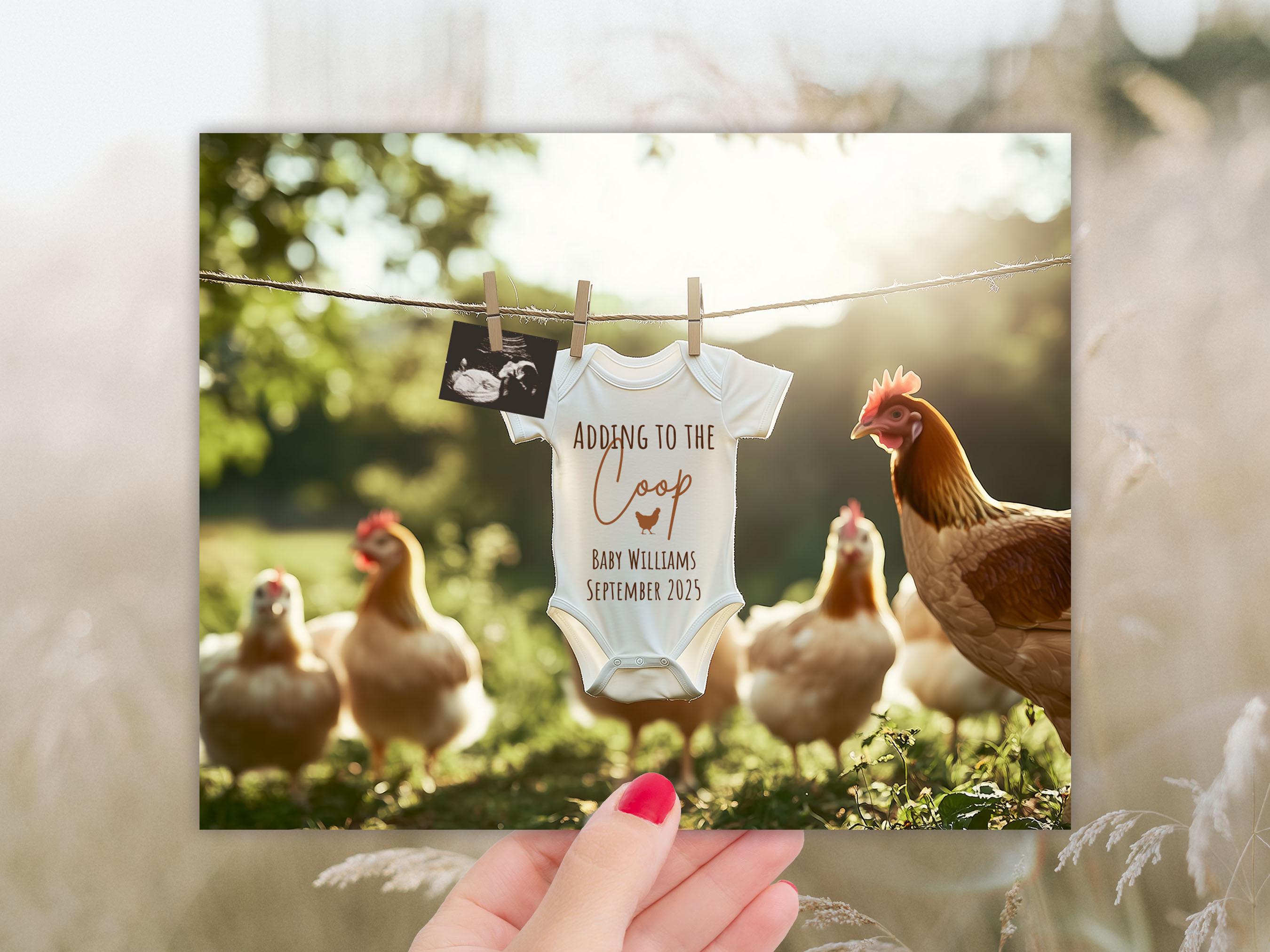 Chicken Pregnancy Announcement Digital Canva Template, New to the Coop ...