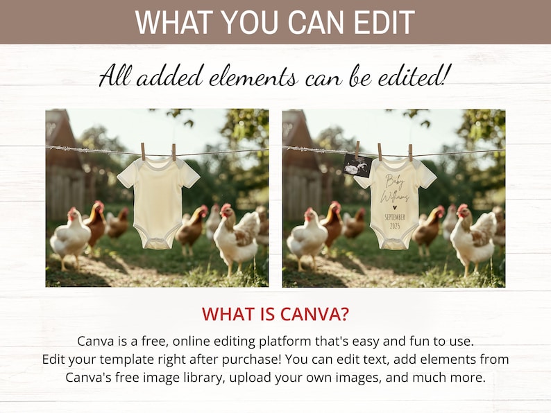 Simple Chicken Pregnancy Announcement Digital Canva Template, Boho Farm ...