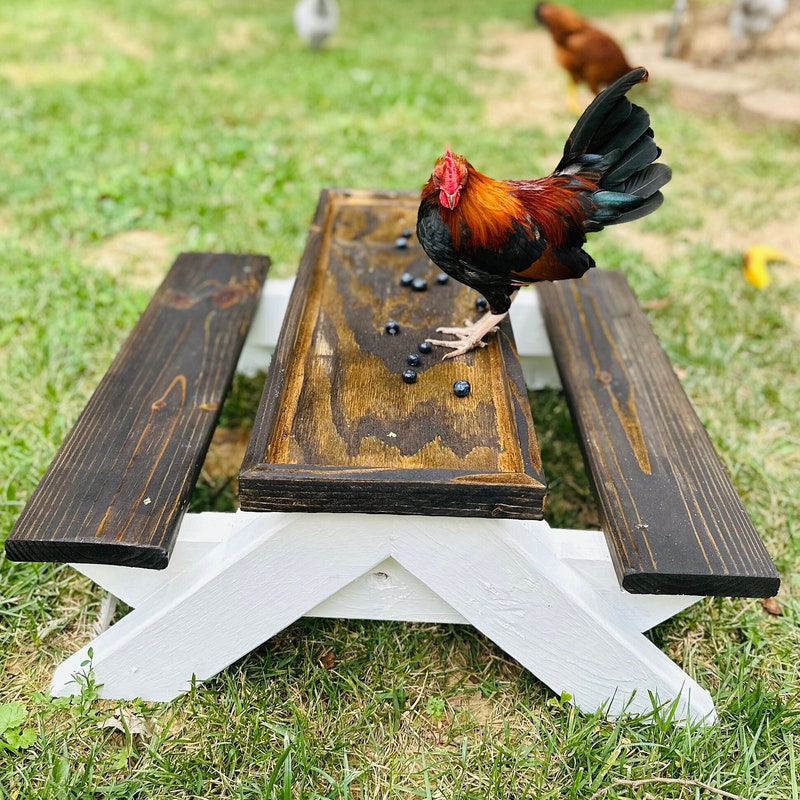Chicknic Table - Etsy