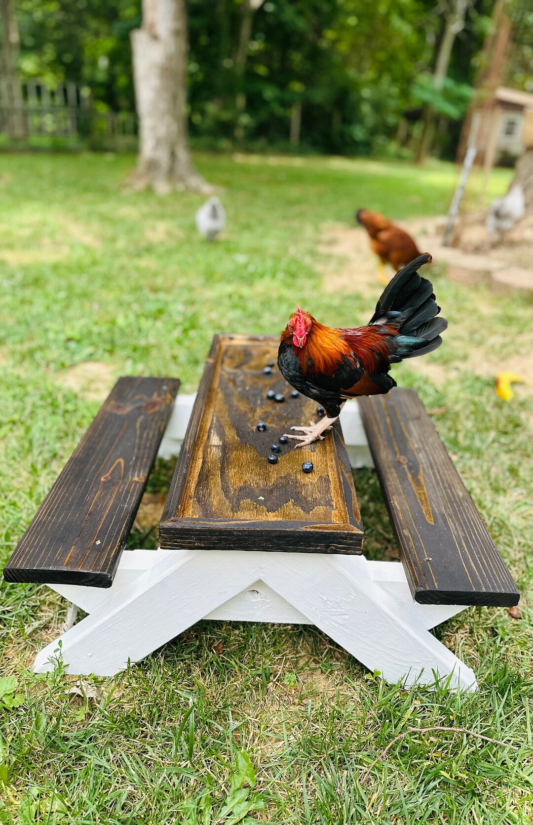 Chicnic Table for Chickens - Etsy