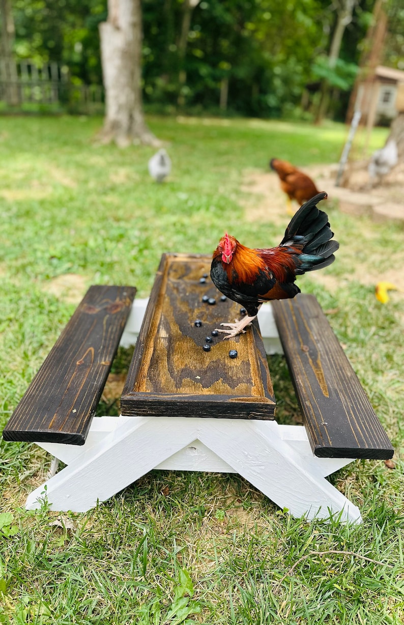 Chicnic Table for Chickens - Etsy