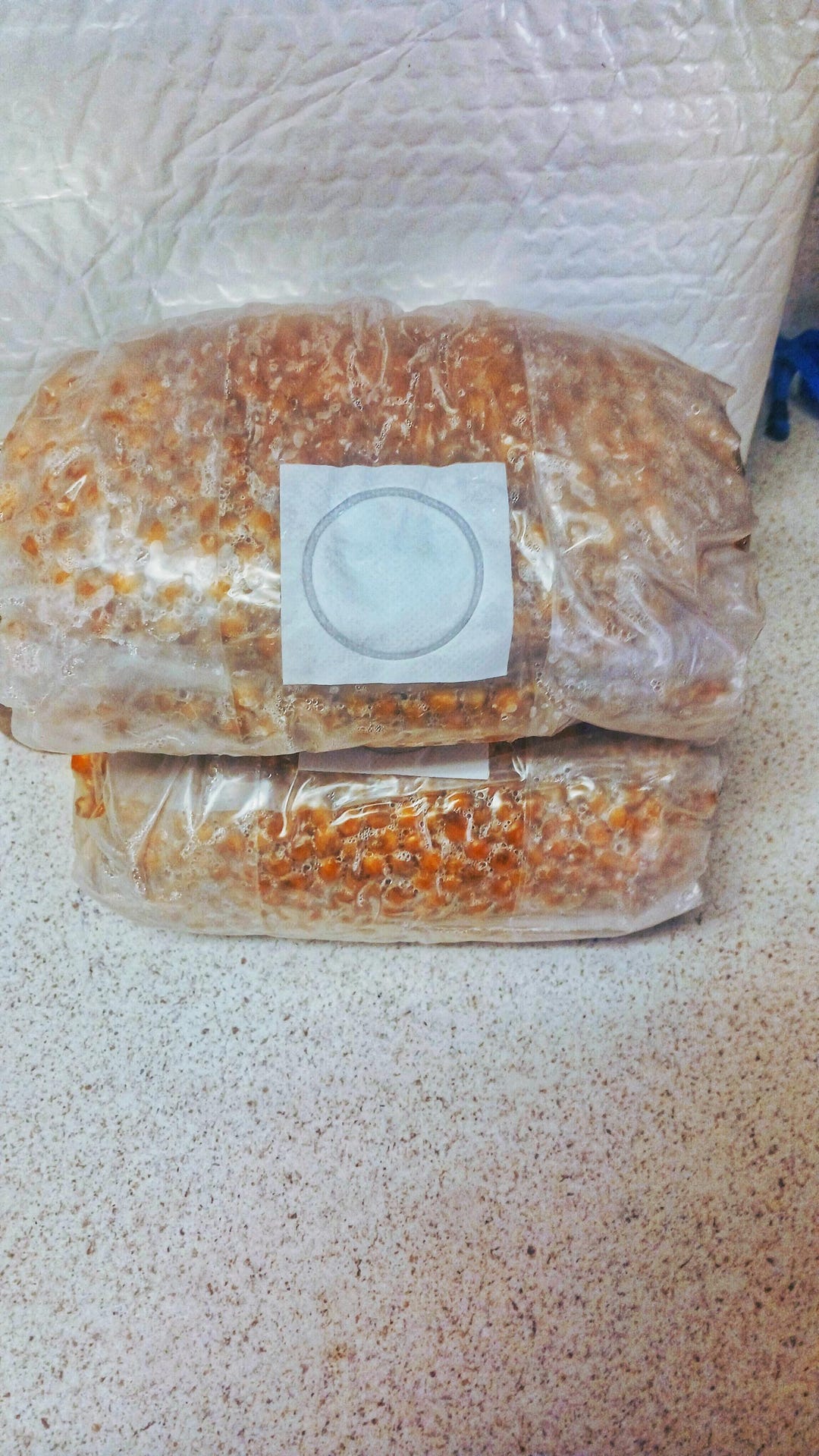 2x 2lbs Sterilized Grain Spawn Bags - Etsy