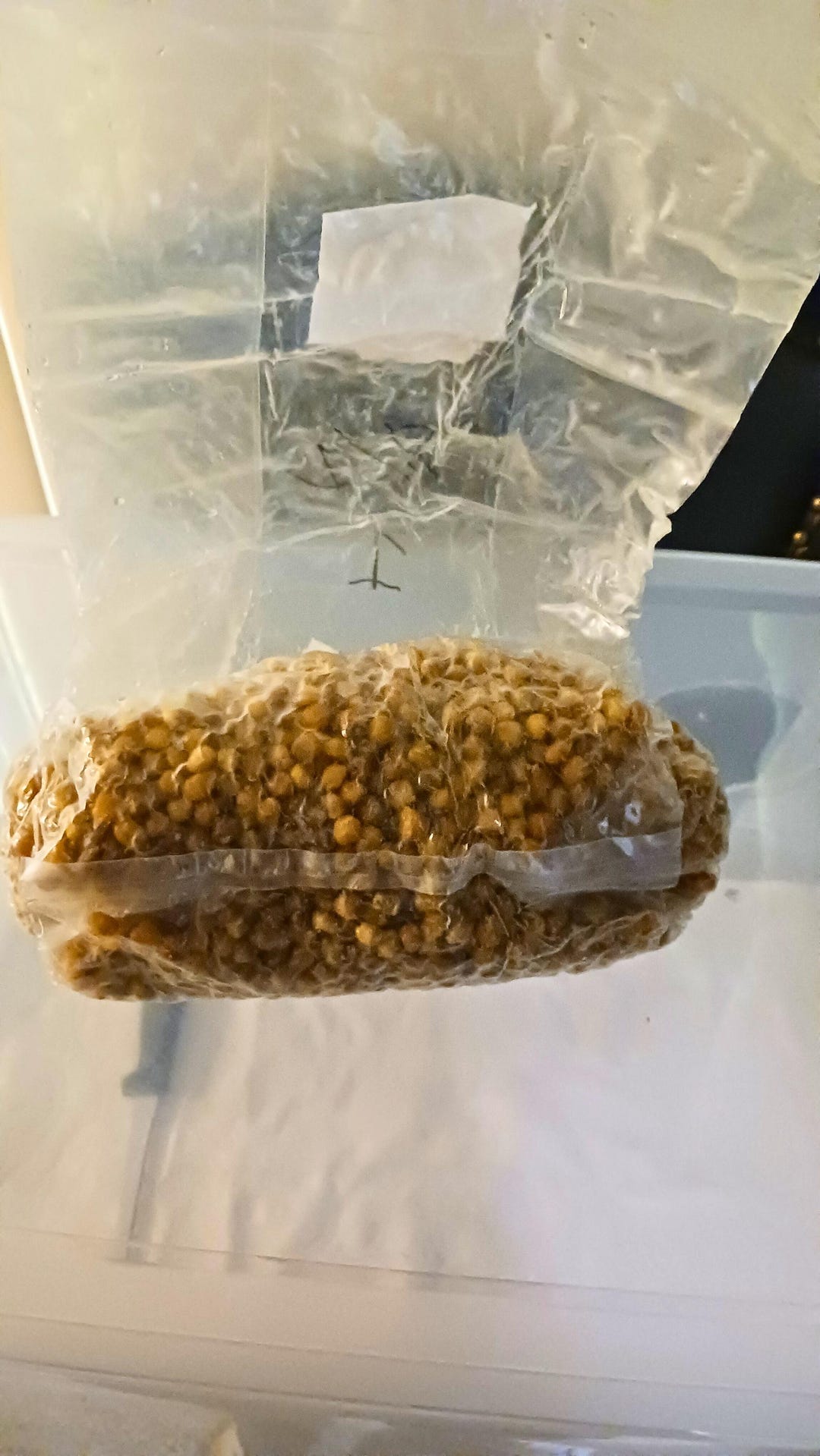 2lbs Sterilized Grain Spawn Bags - Etsy