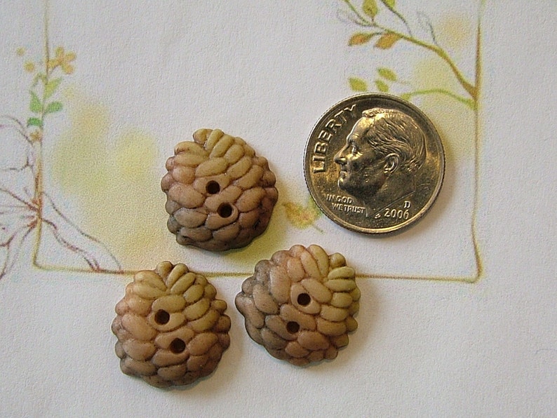 Pine Cone Button Set of 3 - Etsy
