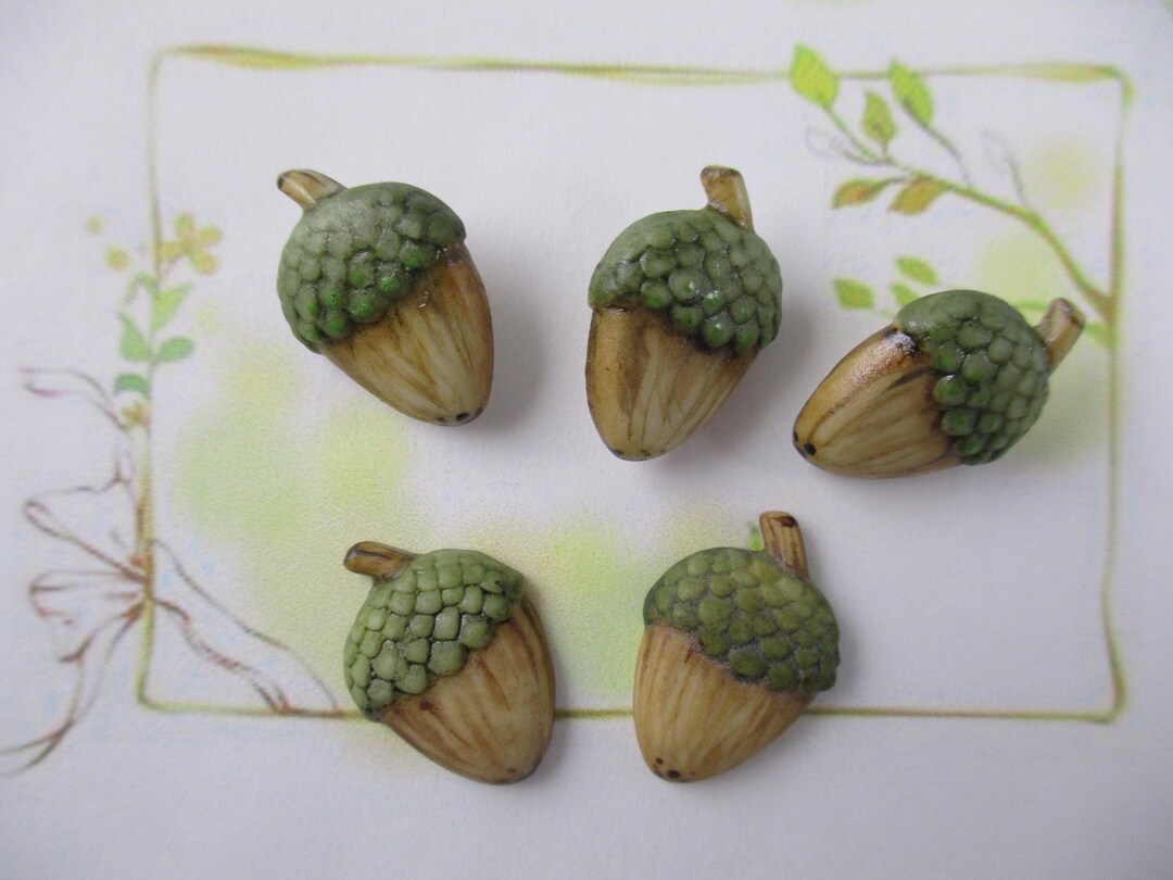 Acorns Button Set of 5 - Etsy