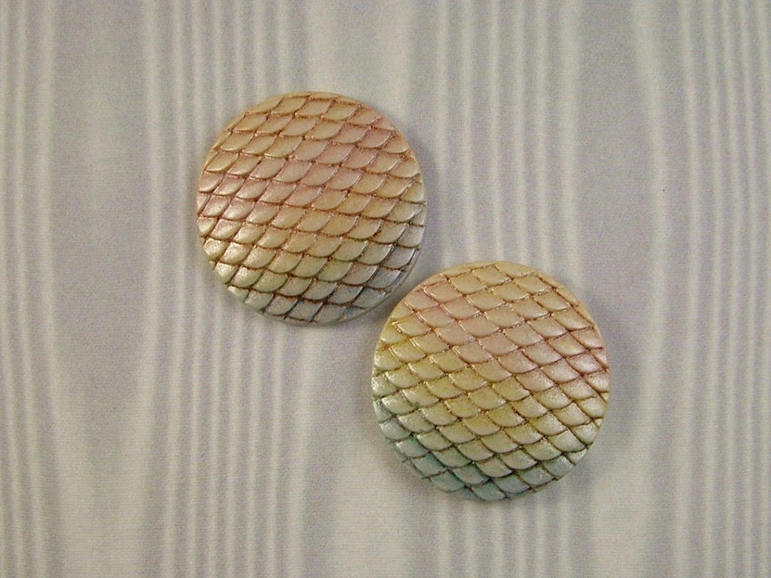 Rainbow Fish Scales Button Set of 2 - Etsy
