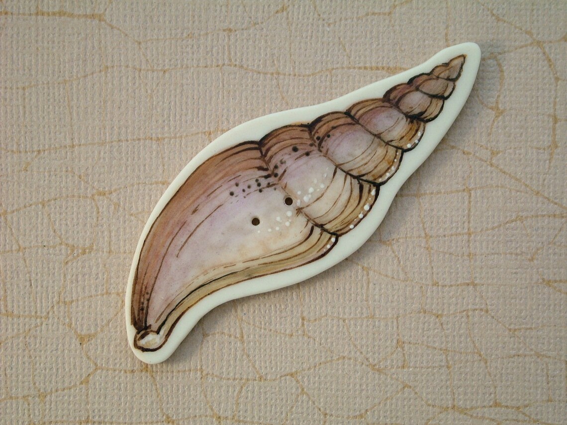 Sea Shell Button | Etsy