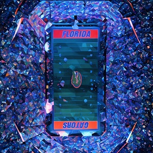 Florida Gators Football Digital Art Wall Print - Etsy