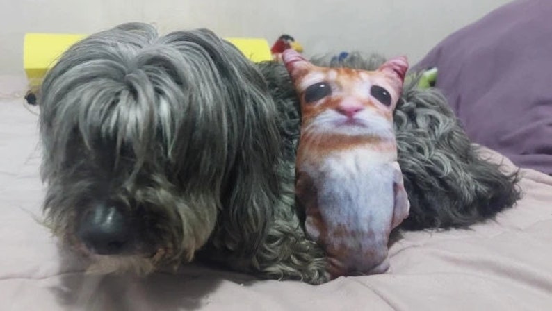 Cute El Gato Cat Meme Plush Toy - Etsy Australia