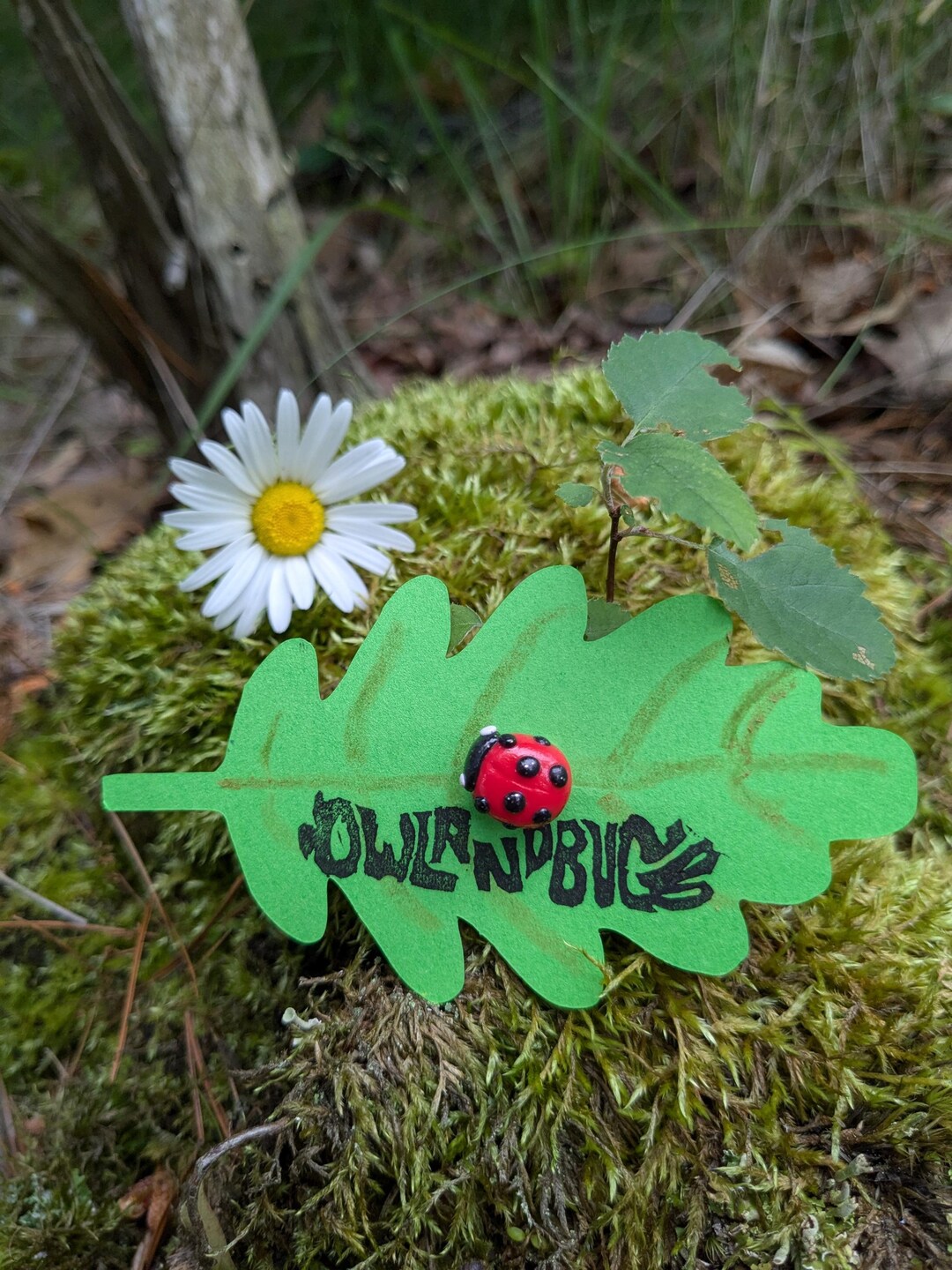 Handmade Ladybug Pin, Nature Inspired Brooch, Cottagecore Bug Jewelry ...