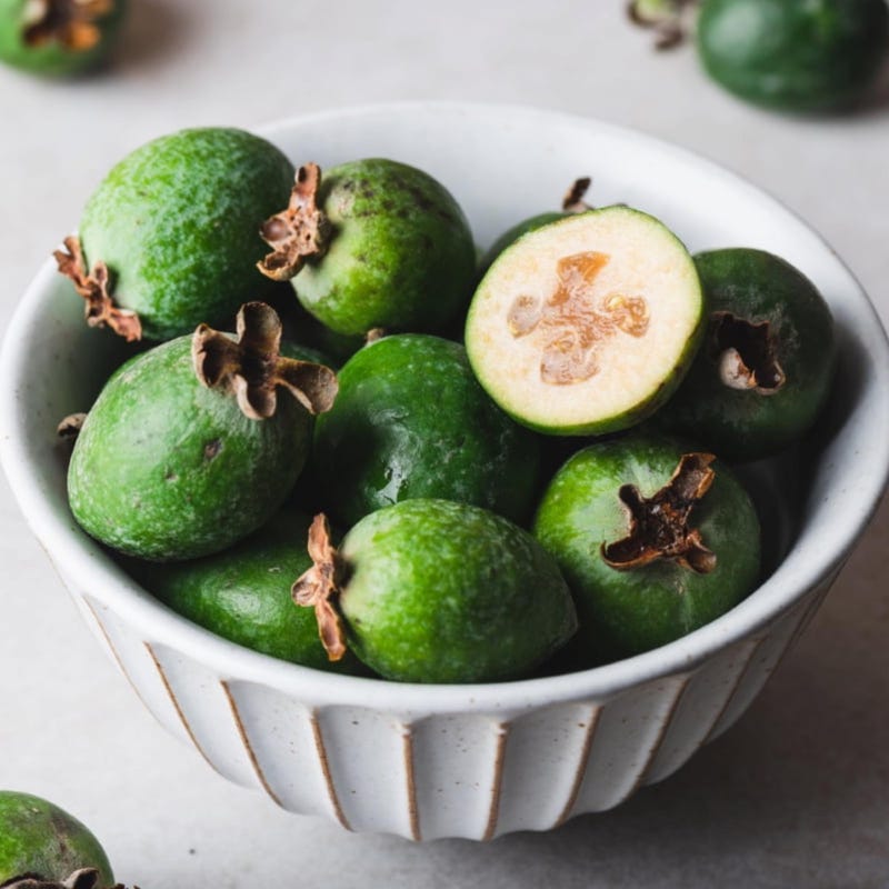 Pineapple Guava Plant - Etsy