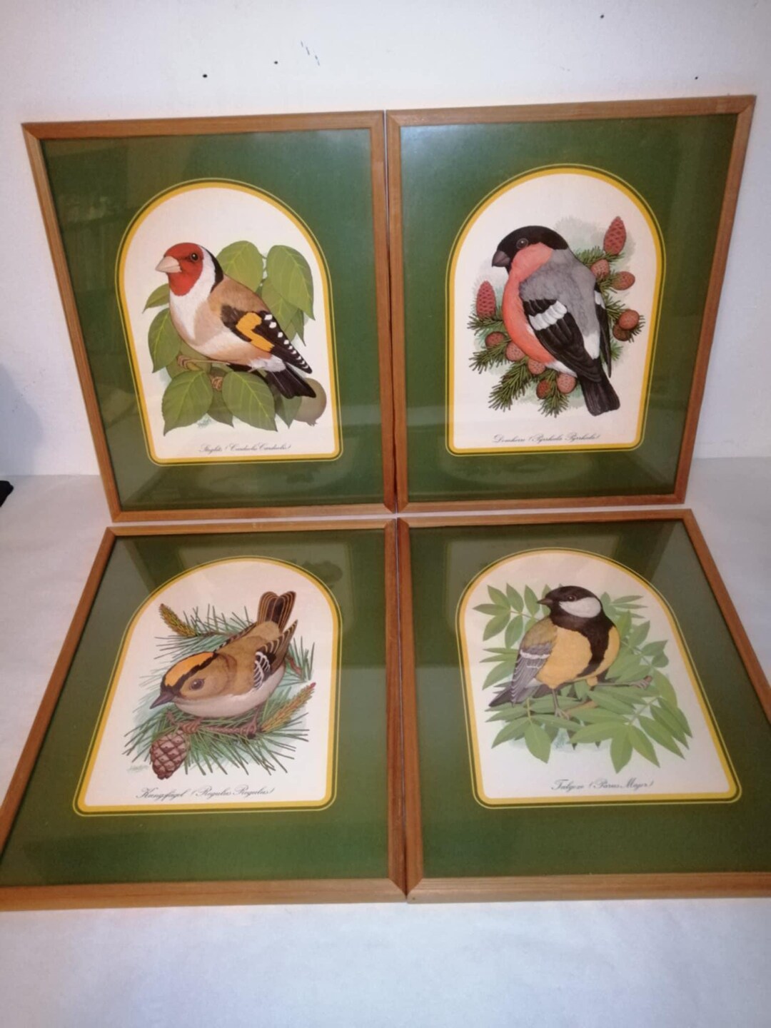 Swedish Folke Hallin Bird Studies Set of 4 Vintage Framed Art Prints ...