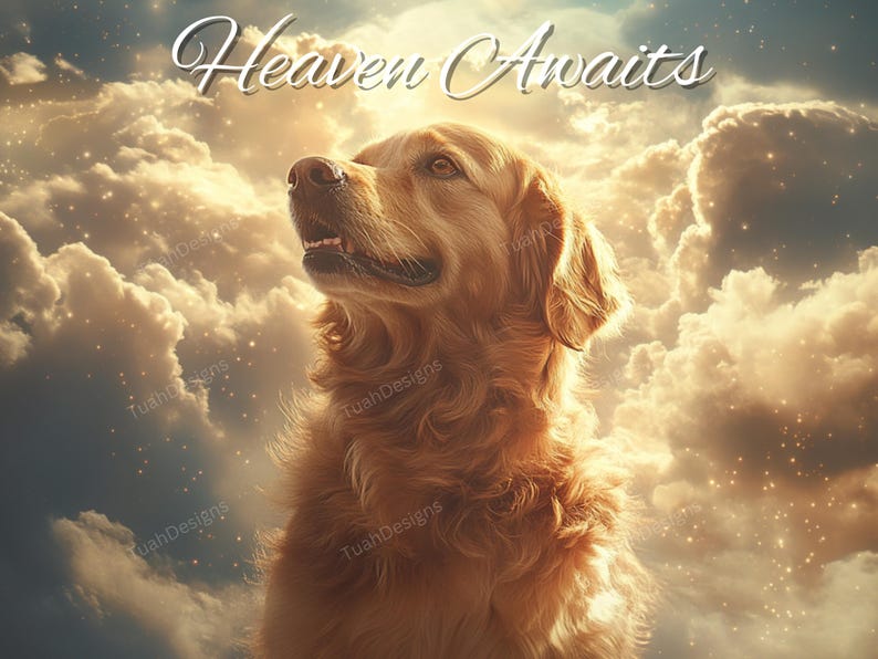 Pet Memoriam SVG PNG, Golden Retriever Svg, Png, Labrador Svg Png ...