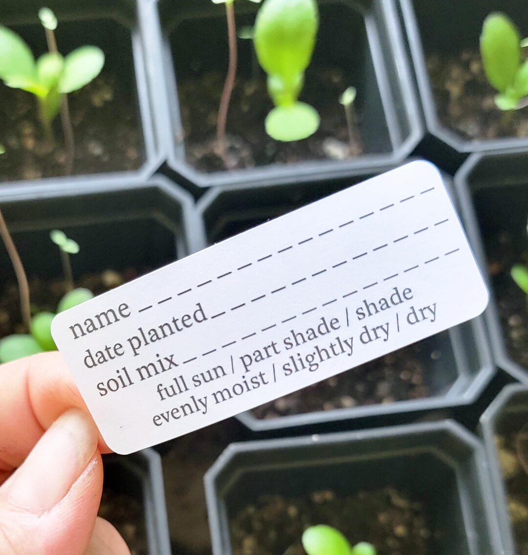 Removable Nursery Pot Labels | Plant Identification Stickers With Soil ...