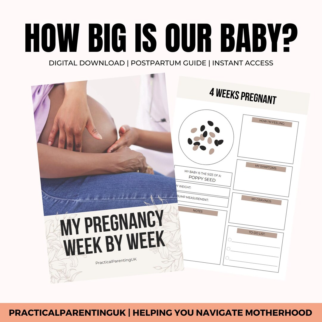 Baby Size Comparison Chart – Week-by-week Pregnancy Growth Tracker ...