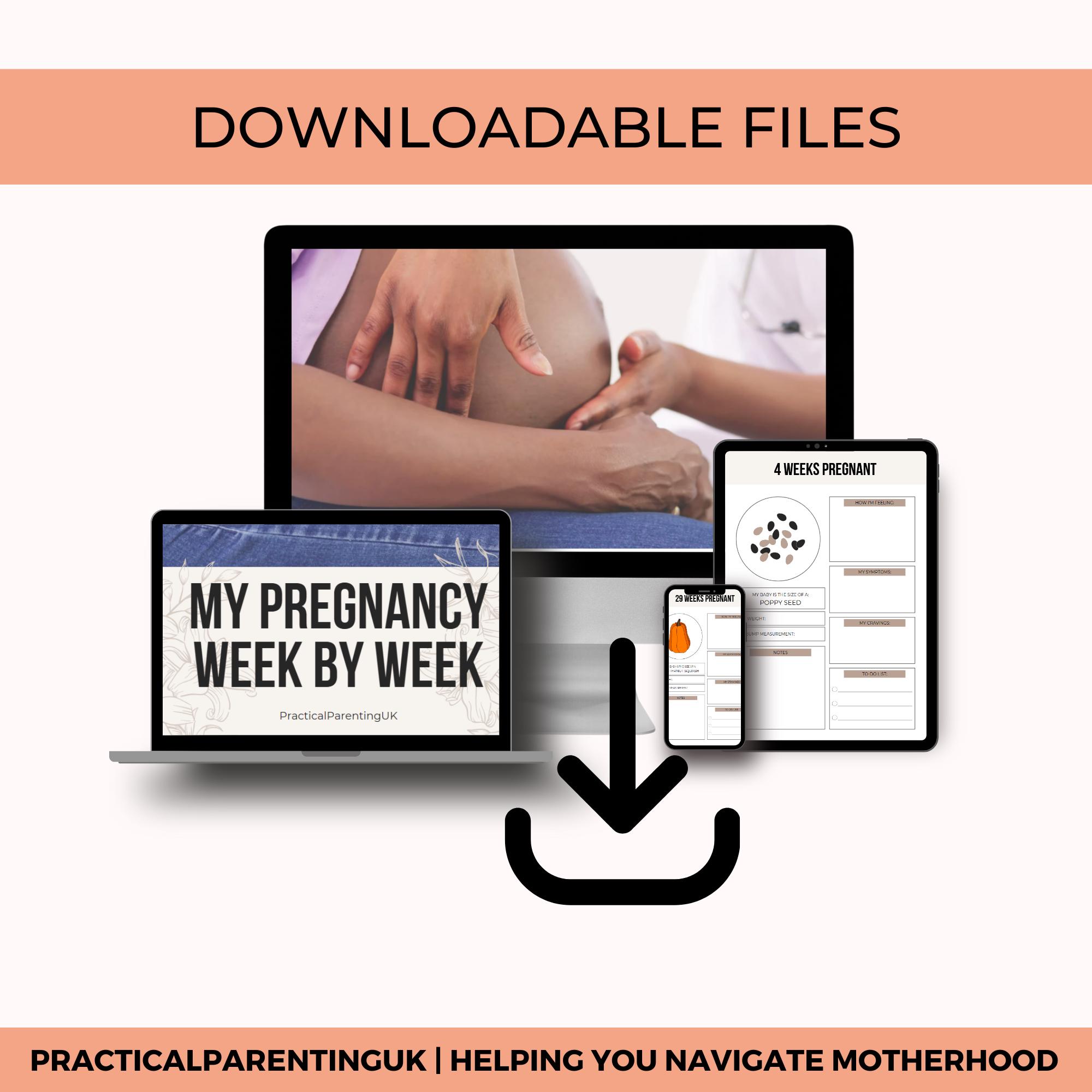 Baby Size Comparison Chart – Week-by-week Pregnancy Growth Tracker ...