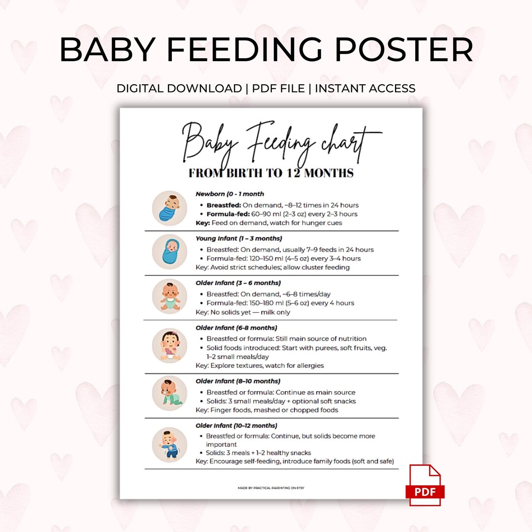 Baby Feeding Guidelines Printable : (digital Download) - Etsy
