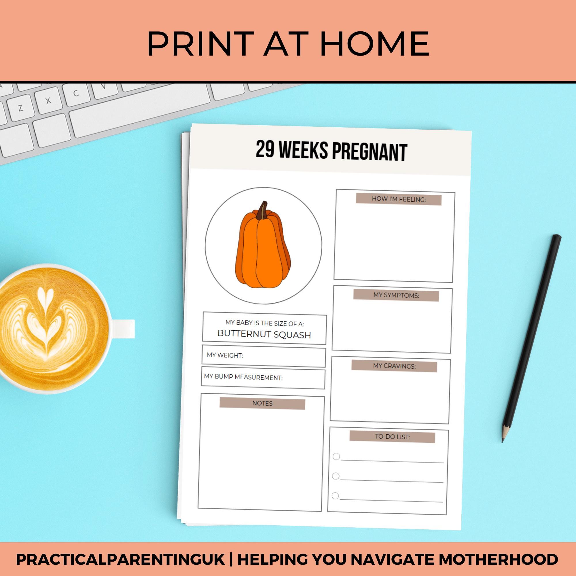 Baby Size Comparison Chart – Week-by-week Pregnancy Growth Tracker ...