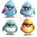 Grumpy Birds Clipart Set, Cute Fluffy Watercolor Birds, High Quality ...