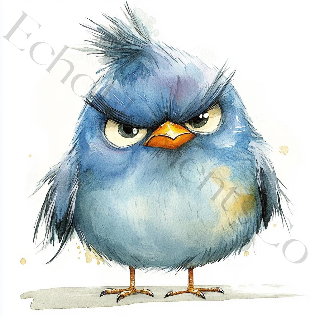 Grumpy Birds Clipart Set, Cute Fluffy Watercolor Birds, High Quality ...