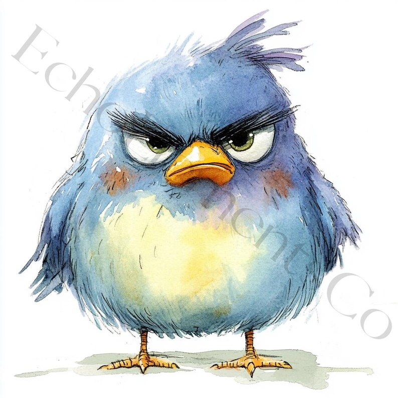 Grumpy Birds Clipart Set, Cute Fluffy Watercolor Birds, High Quality ...