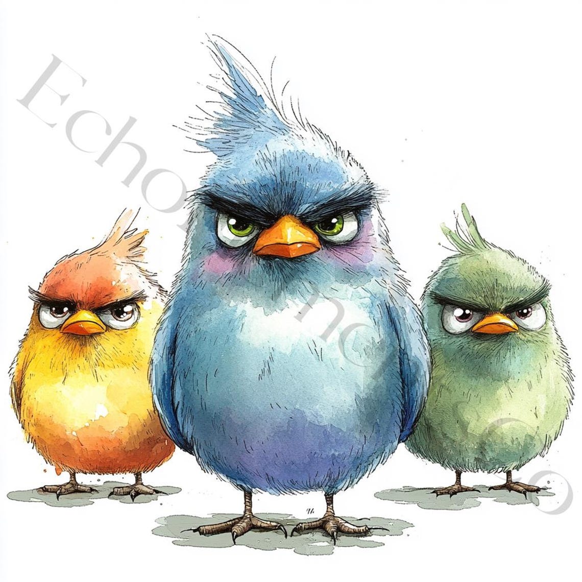 Grumpy Birds Clipart Set, Cute Fluffy Watercolor Birds, High Quality ...