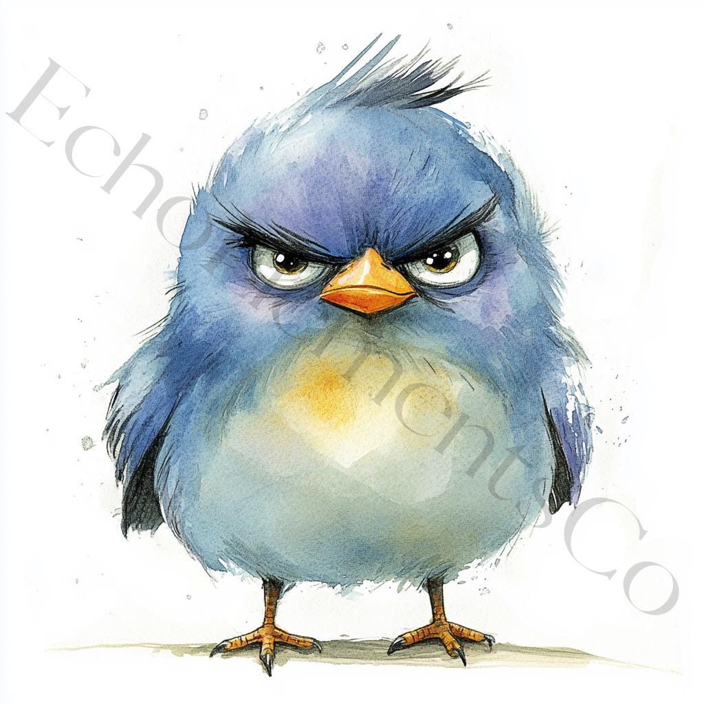 Grumpy Birds Clipart Set, Cute Fluffy Watercolor Birds, High Quality ...