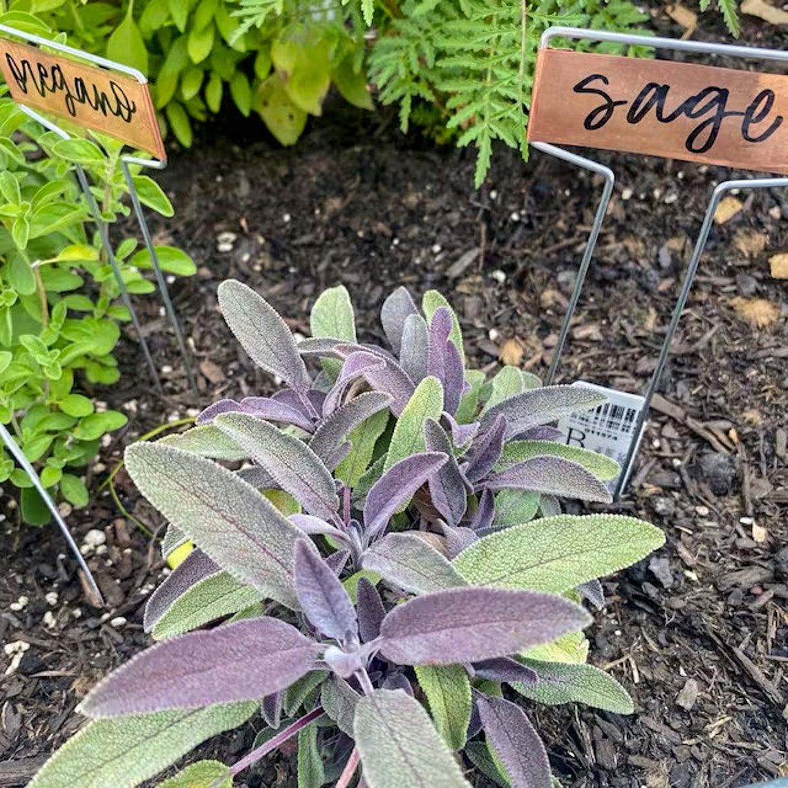 Brass Garden Stakes, Flower Labels, Plant Name Tags, Identification ...