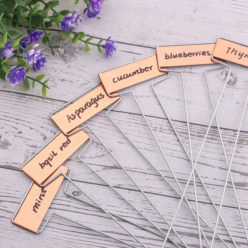 Plant Labels - Etsy