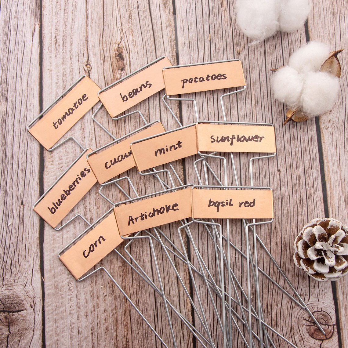 Brass Garden Stakes, Flower Labels, Plant Name Tags, Identification ...