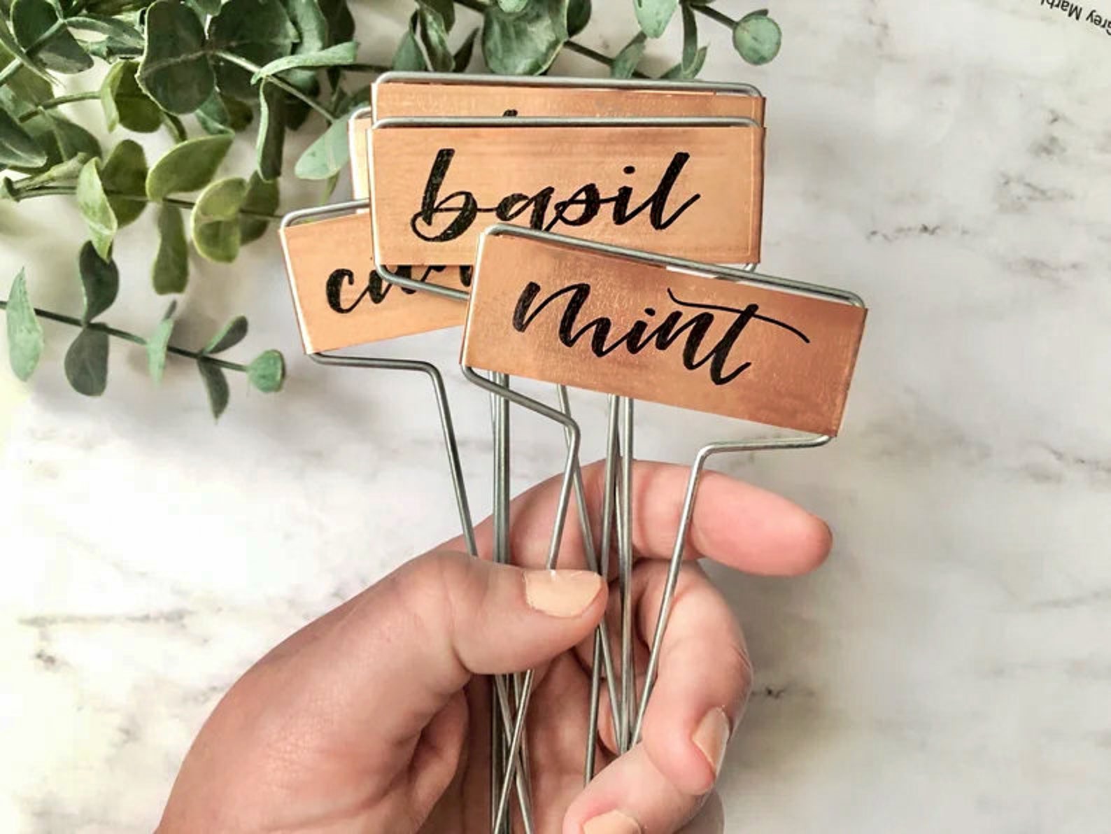 Brass Garden Stakes, Flower Labels, Plant Name Tags, Identification ...