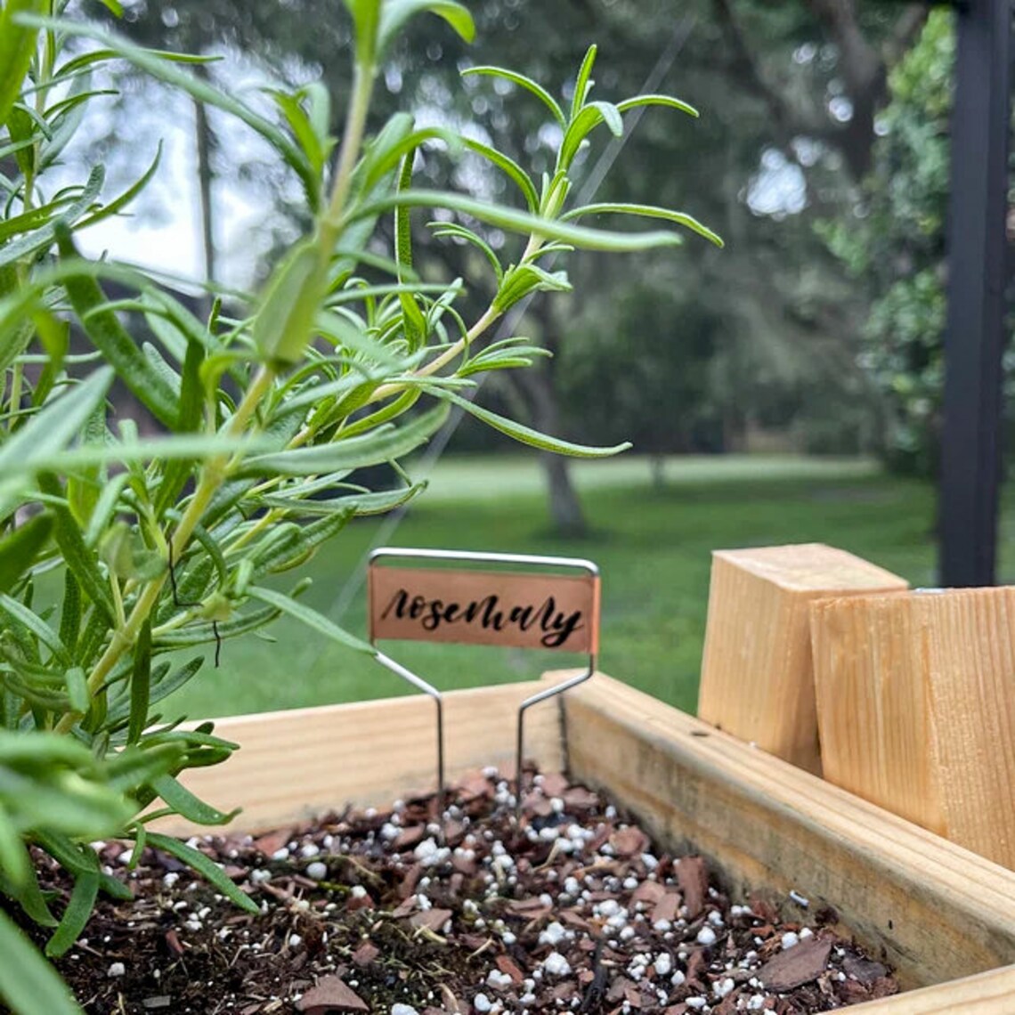Brass Garden Stakes, Flower Labels, Plant Name Tags, Identification ...