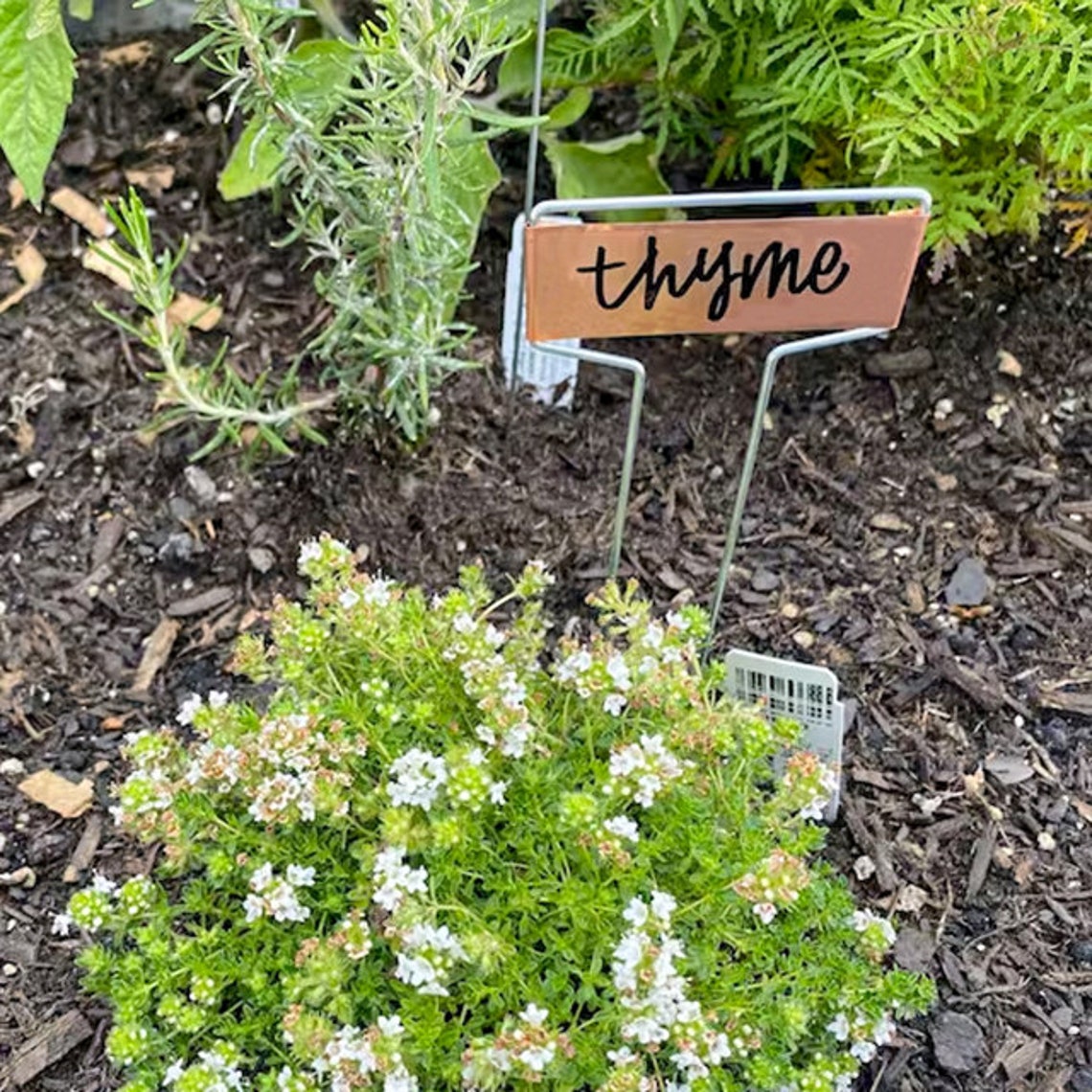 Brass Garden Stakes, Flower Labels, Plant Name Tags, Identification ...