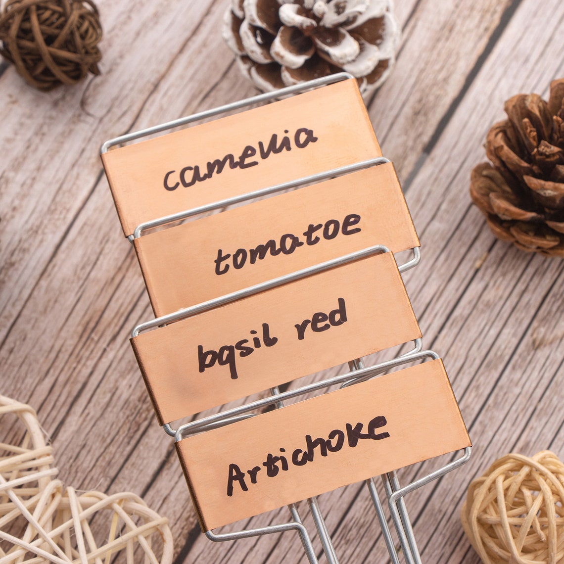 Brass Garden Stakes, Flower Labels, Plant Name Tags, Identification ...