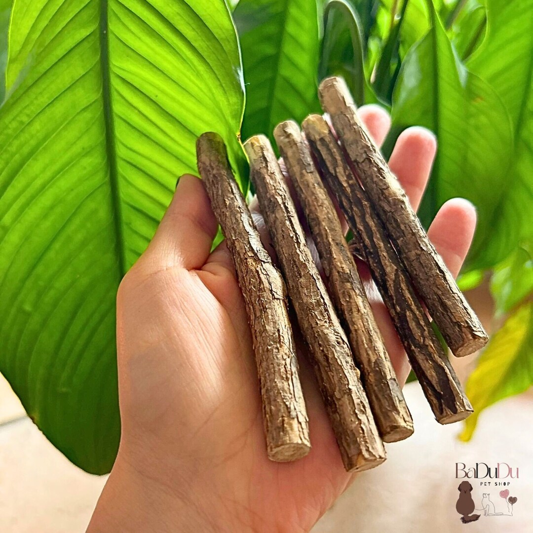 Matatabi Cat Treat, Silvervine Teething Stick, Dental Chew, Chew Stick ...