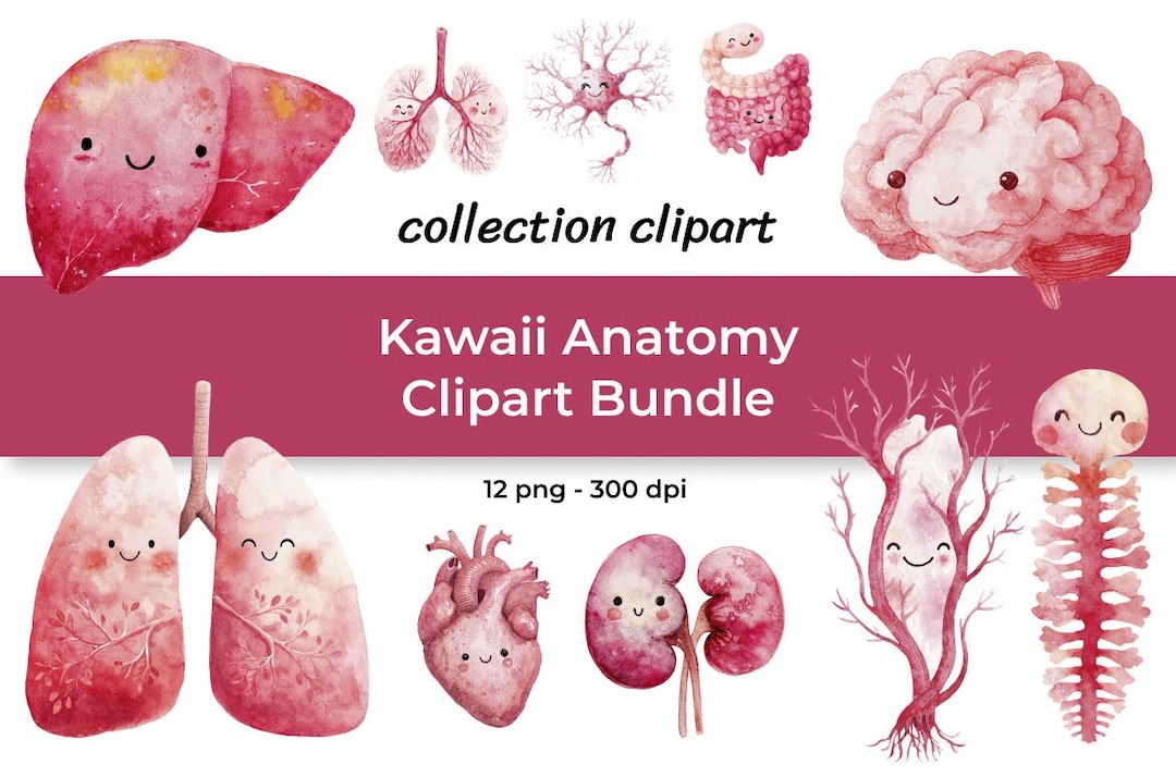 Kawaii Anatomy Clipart Bundle | Human Organs Watercolor Bundle ...