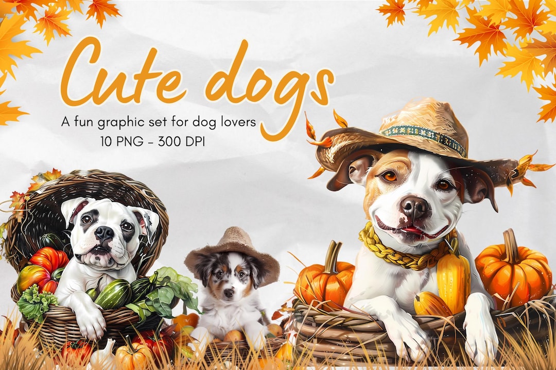 Cute Dogs Collection 10 Png - Etsy