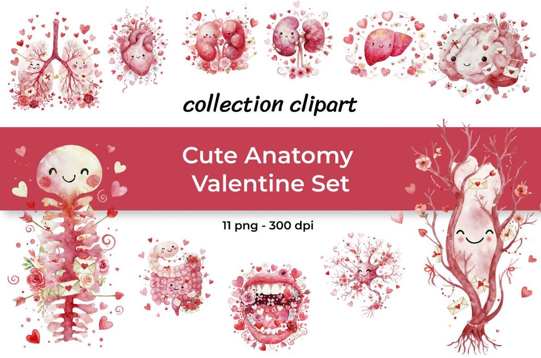 Kawaii Anatomy Valentine Clipart – Medical Organs PNG Set (digital ...