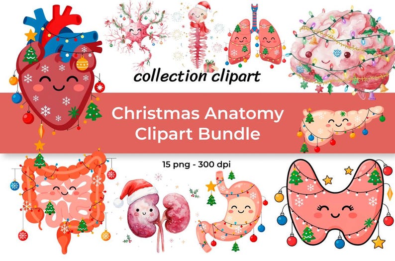 Christmas Anatomy Clipart Bundle – Festive Human Organs (PNG, 300 DPI ...
