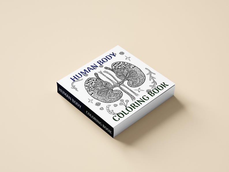 Anatomy Coloring Pages: Human Organs, Body Parts (digital Download) - Etsy