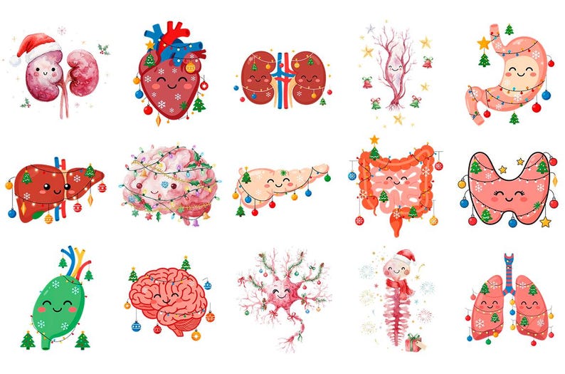 Christmas Anatomy Clipart Bundle – Festive Human Organs (PNG, 300 DPI ...