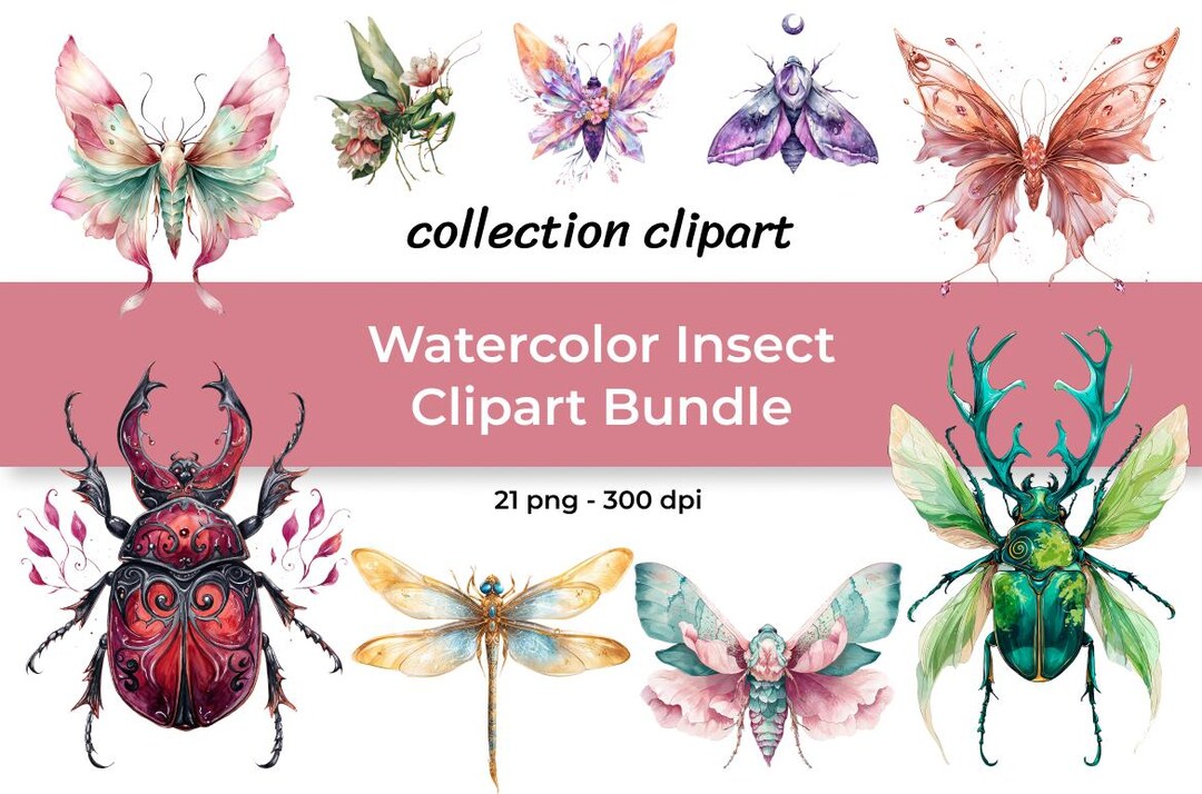 Watercolor Insect Clipart Bundle – Beetles, Butterflies & Moths With ...