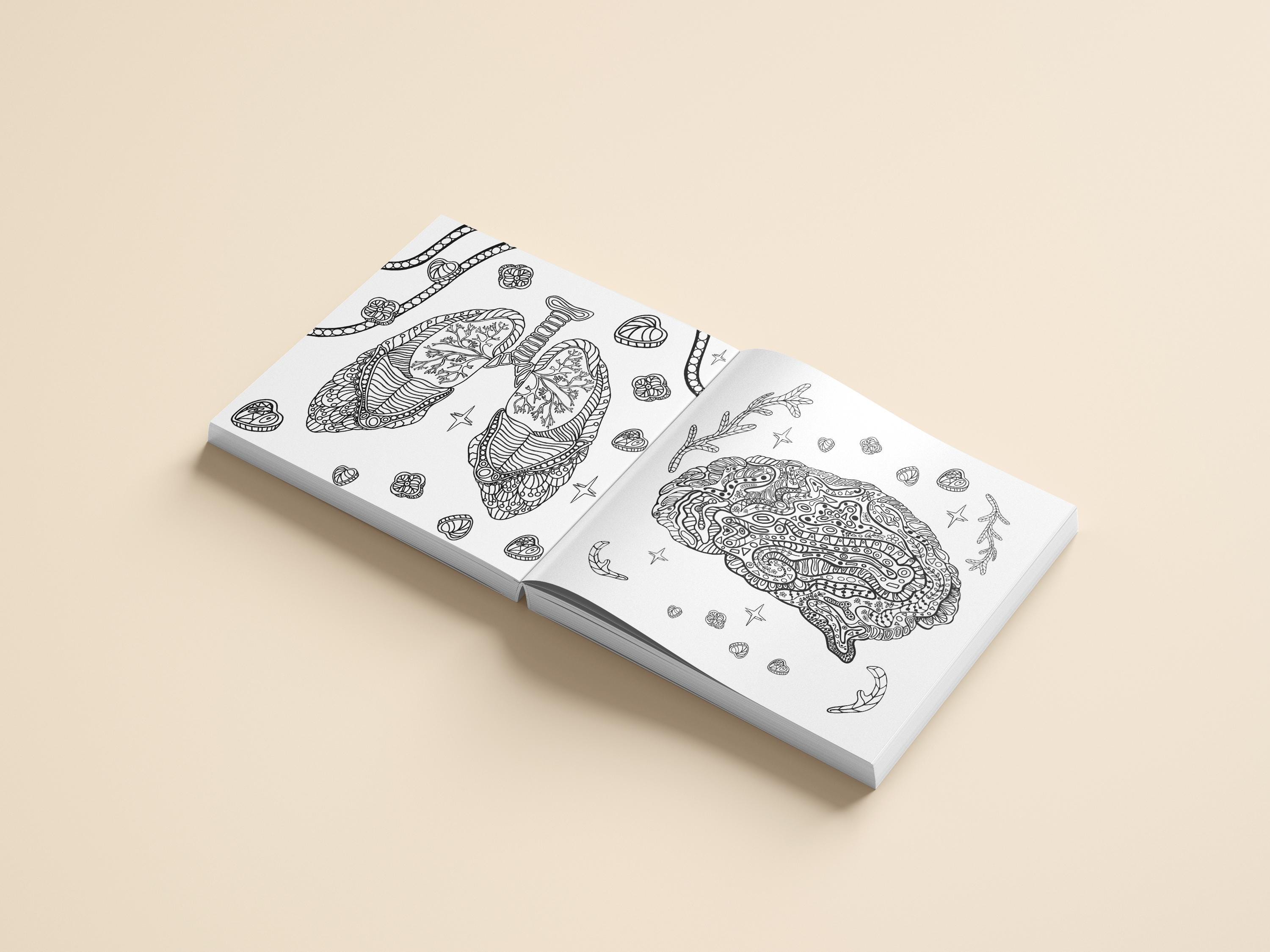 Anatomy Coloring Pages: Human Organs, Body Parts (digital Download) - Etsy