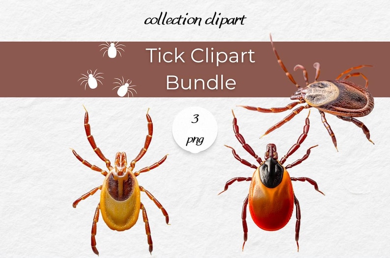 Tick Clipart Bundle – 3 Realistic PNG Files - Etsy