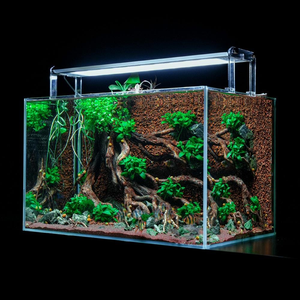 Unique Betta & Guppy Aquarium Decoration, Premade Aquascape,mountain ...
